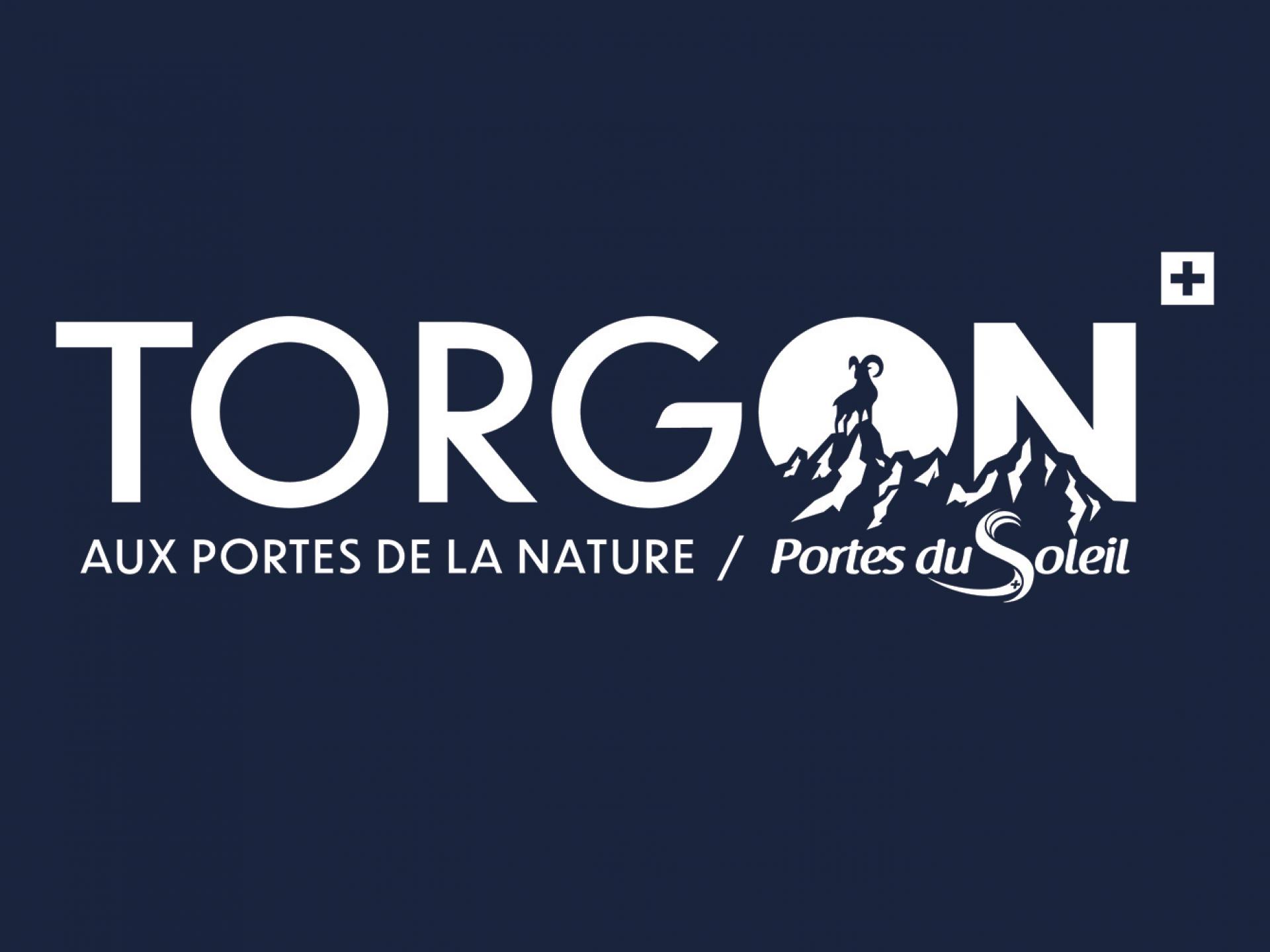 Torgon: Swiss ski resort, family village | Portes du Soleil