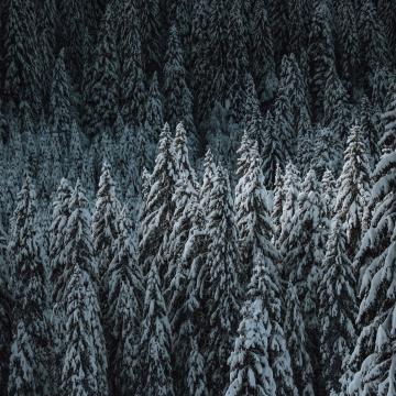 Naviguer entre les stations | Portes du Soleil