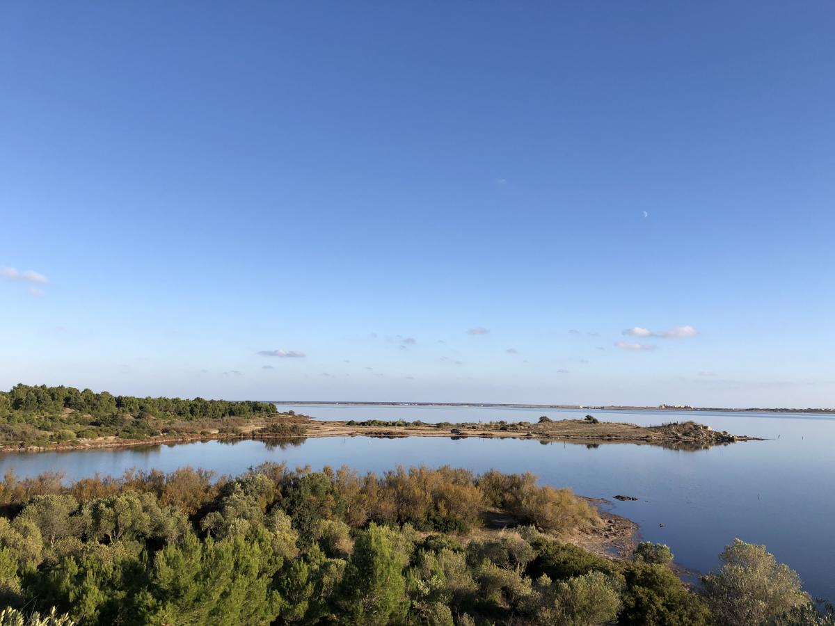 La nature | Office de Tourisme de Leucate