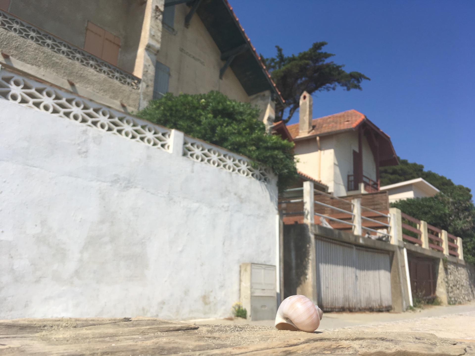 Les plages de La Franqui | Office de Tourisme de Leucate