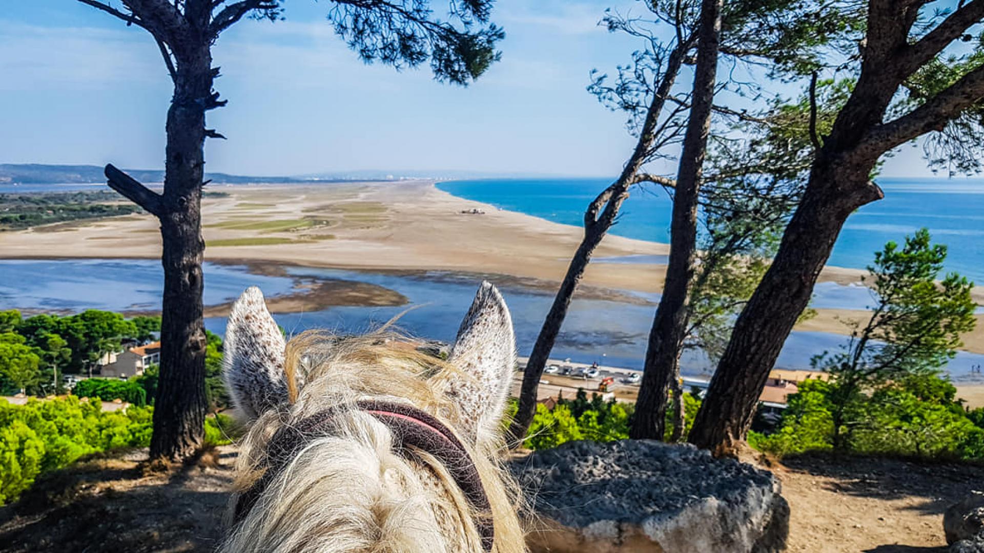 Bienvenue ! | Office de Tourisme de Leucate