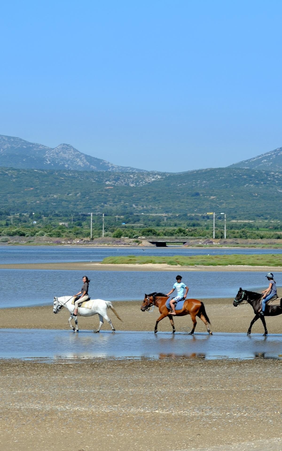 Les plages de La Franqui | Office de Tourisme de Leucate