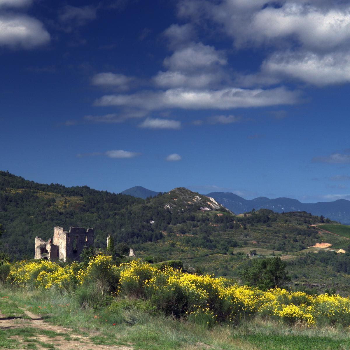 Château d’Arques | Turismo de Limouxin – Página oficial de la Oficina ...