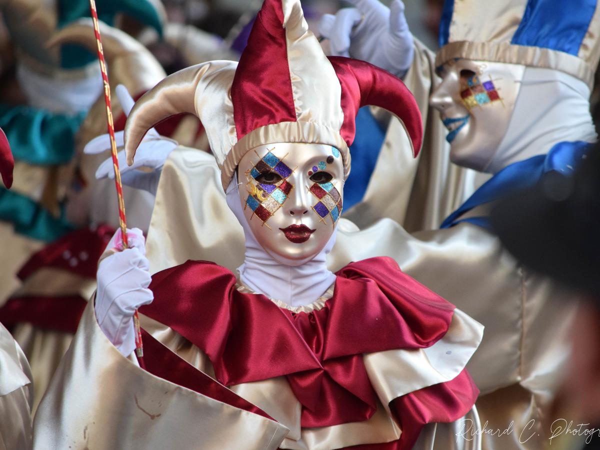 Carnaval du Monde et de toutes les Bandes | Limouxin Tourisme – Site ...