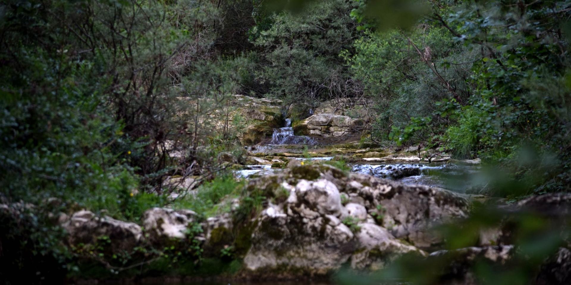 Bugarach | Limouxin Tourisme – Site Officiel de l’Office de tourisme du ...