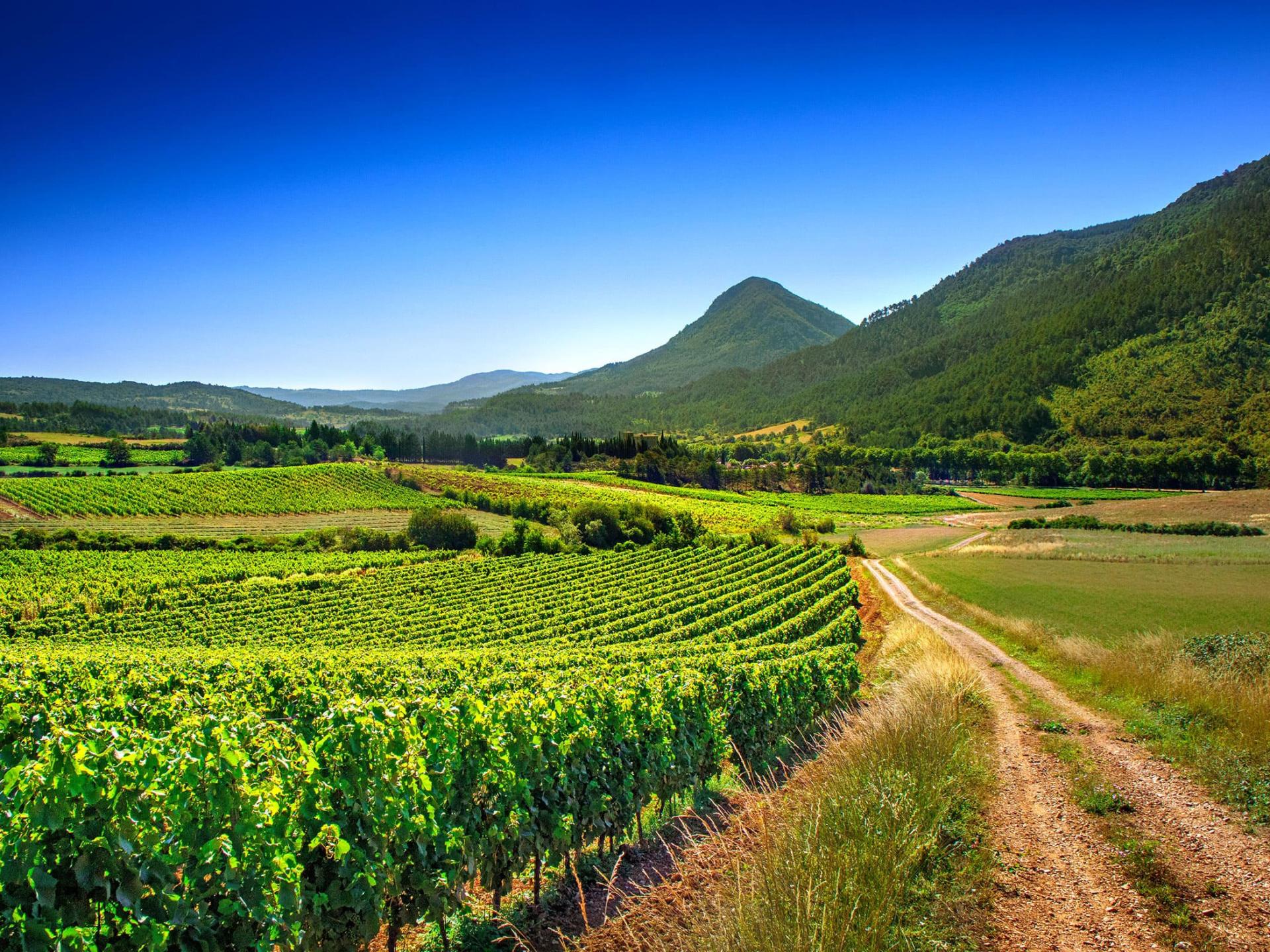 AGENDA | Limouxin Tourisme – Site Officiel de l’Office de tourisme du ...