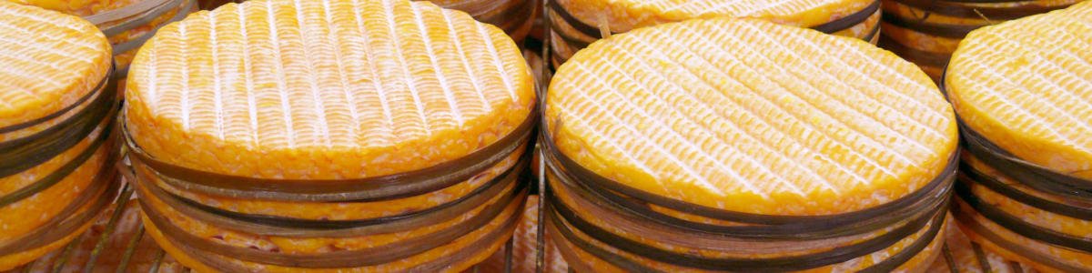 Visit Livarot | Authentic Normandy : Office de Tourisme Lisieux Normandie