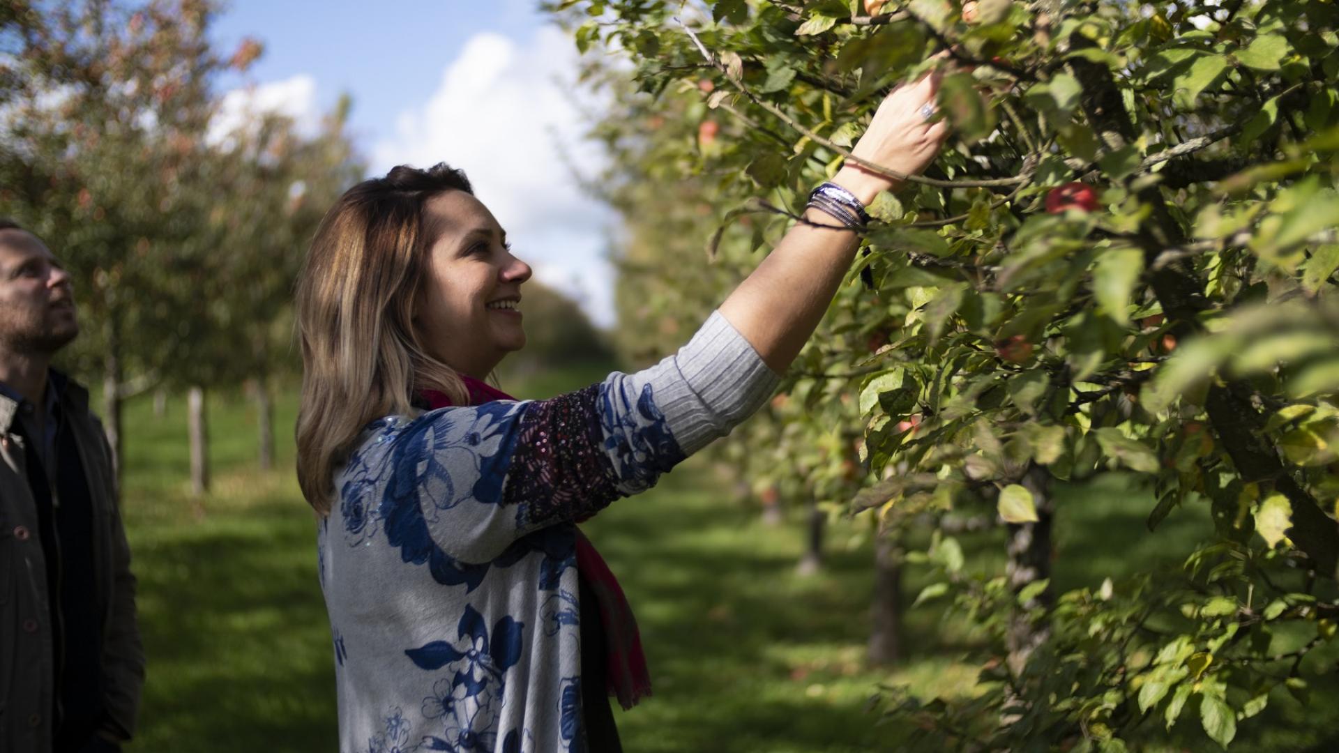 Cider and Calvados producers | Authentic Normandy : Office de Tourisme ...