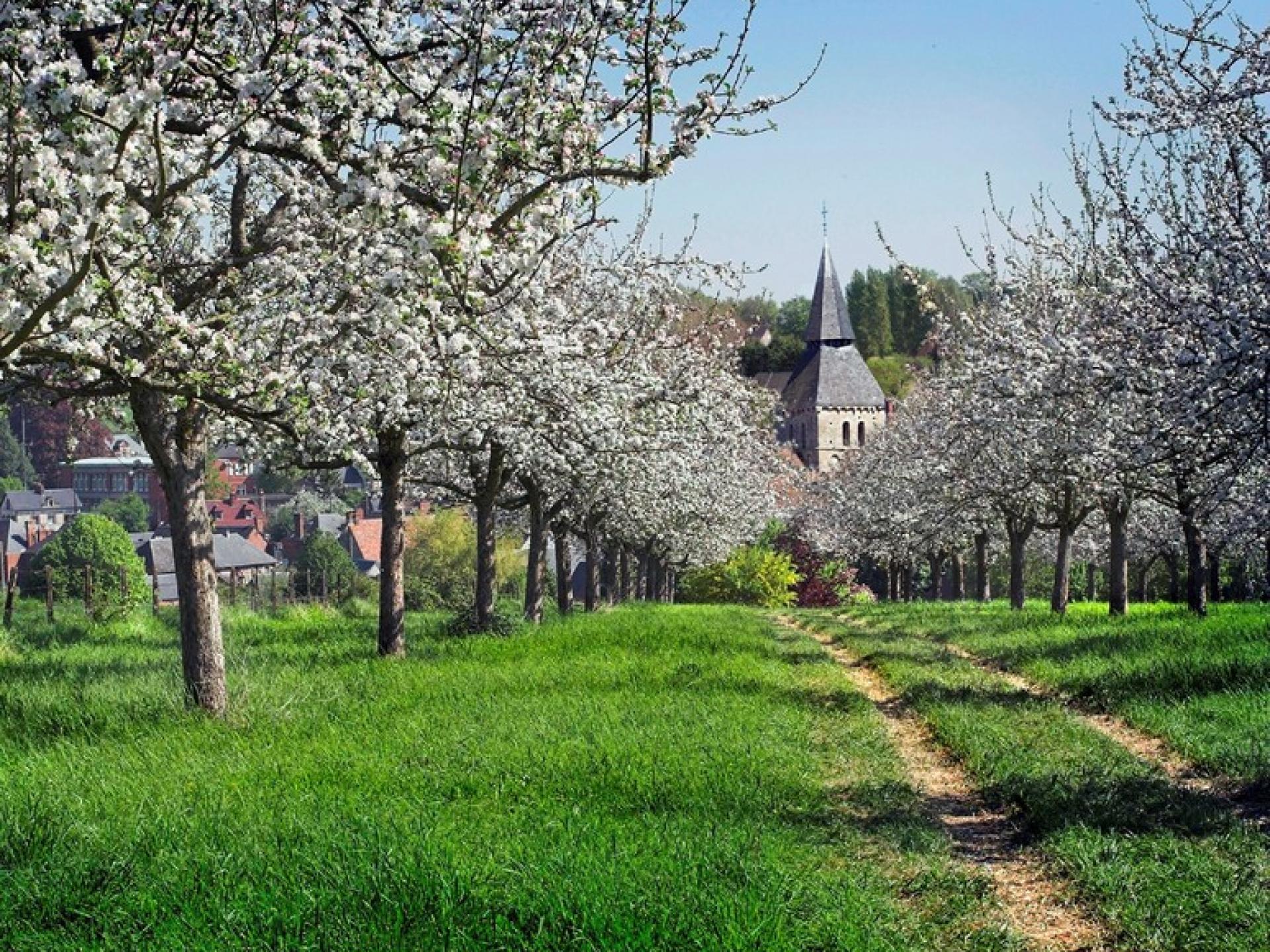 Cambremer : Guide de tourisme pour visiter Cambremer en Normandie ...
