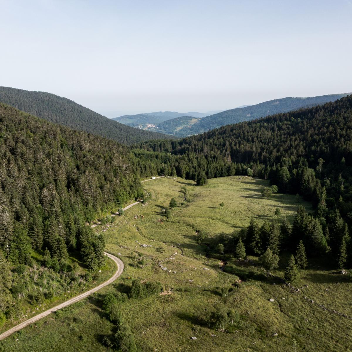 Les Hautes-Chaumes du Forez | Vacances en Auvergne – Maison du Tourisme ...