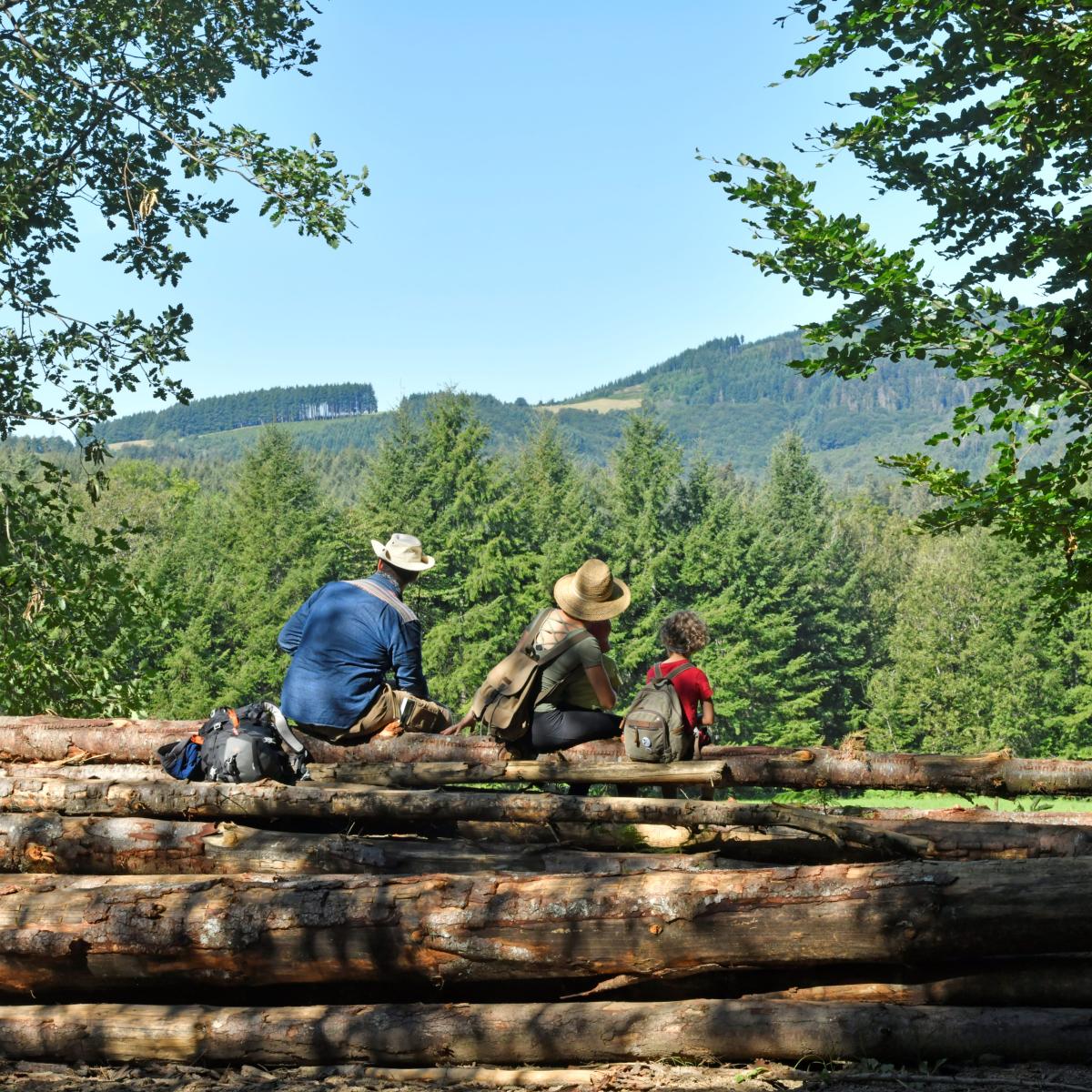 Les Hautes-Chaumes du Forez | Vacances en Auvergne – Maison du Tourisme ...