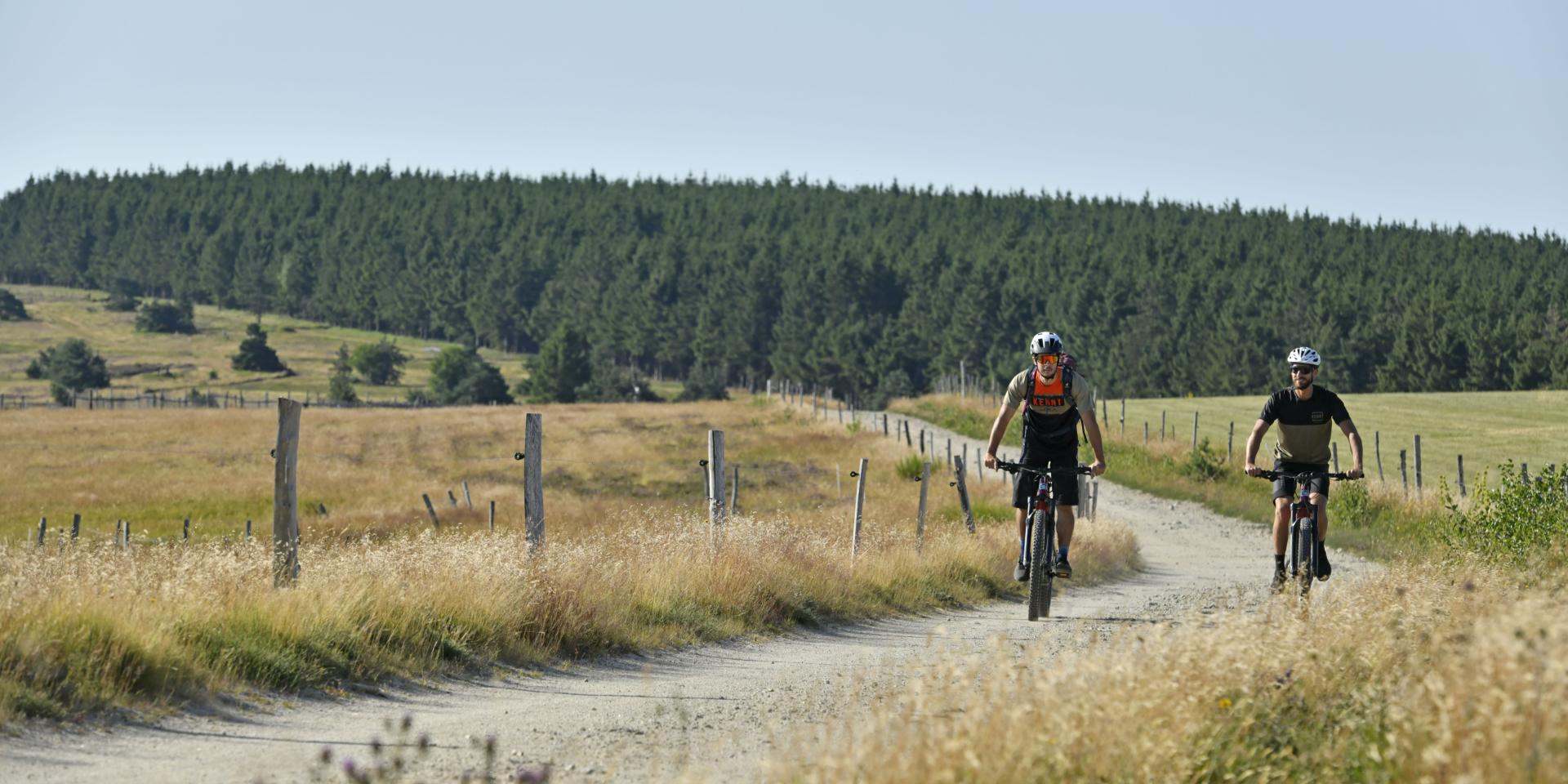 A mountain bike tour of the Livradois-Forez region | Vacances en ...