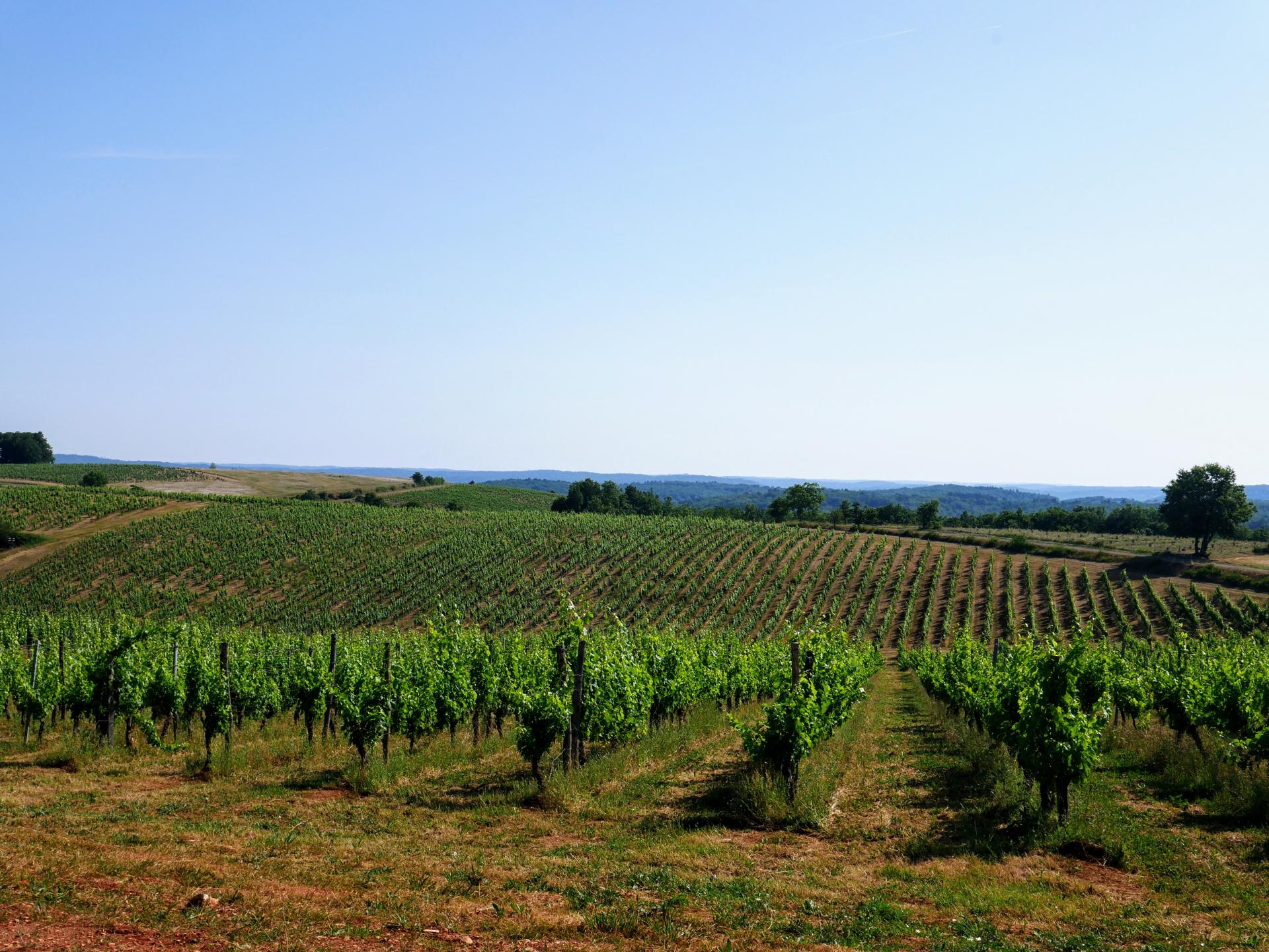 Ma découverte du Château de Chambert | Tourisme Lot