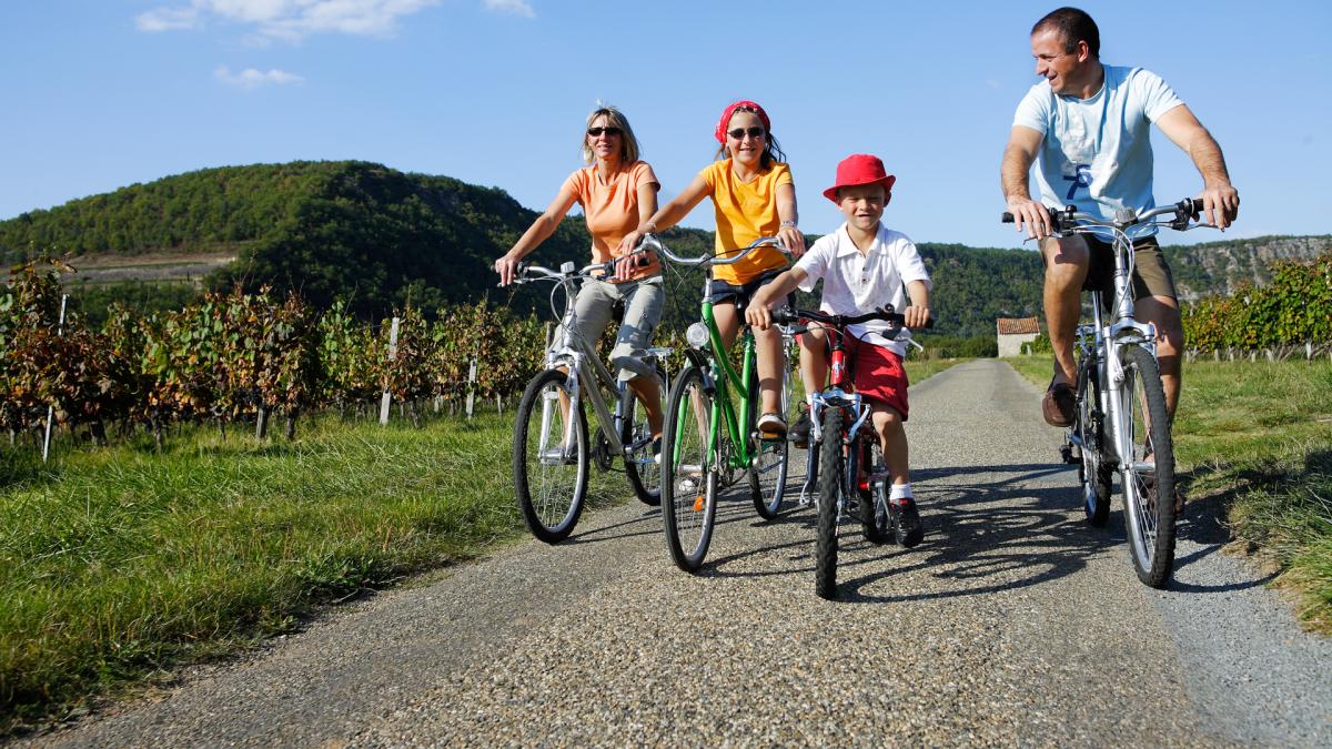 Formulaire de demande Top 5 balades vélo famille