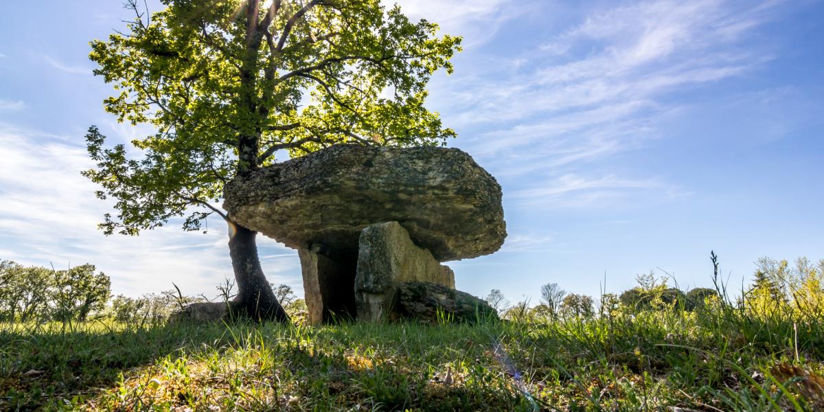 Grotte du Pech Merle à Cabrerets | Tourisme Lot