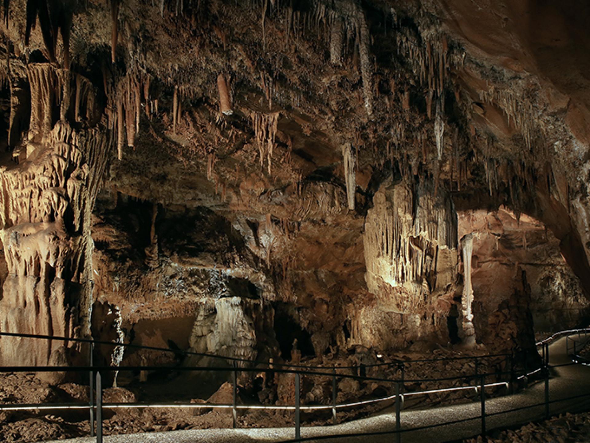 Grotte des Carbonnières à Lacave