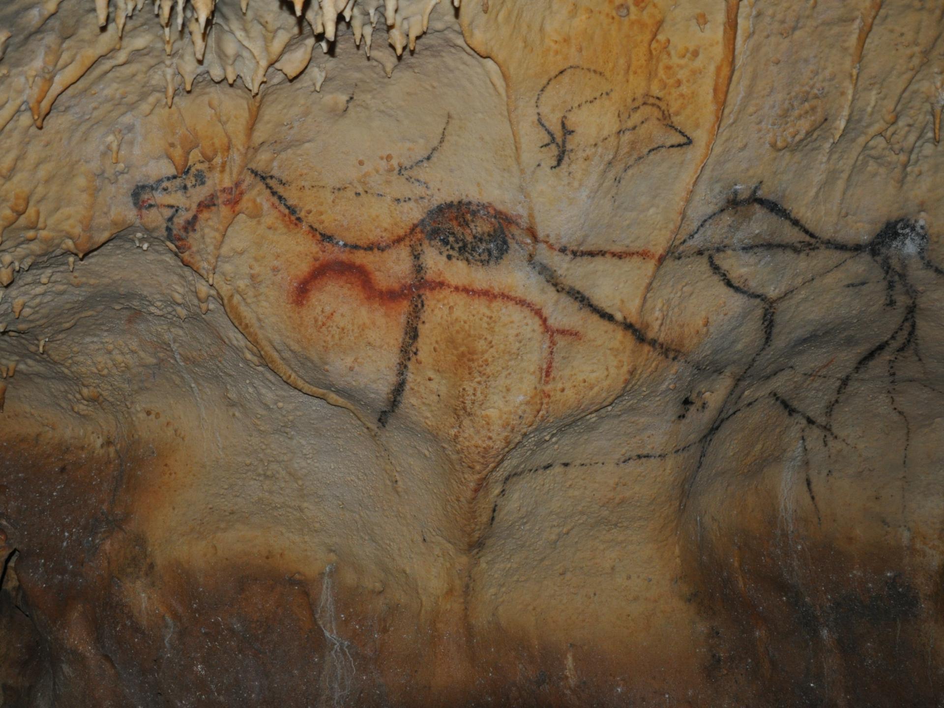 Grottes de Cougnac à Gourdon