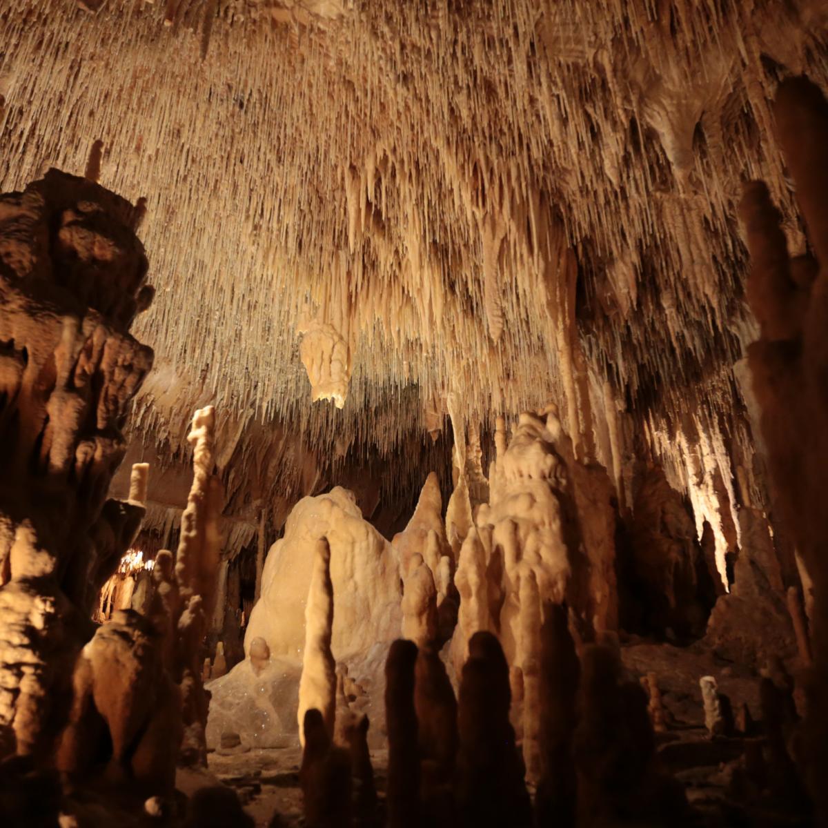 Grottes de Cougnac à Gourdon