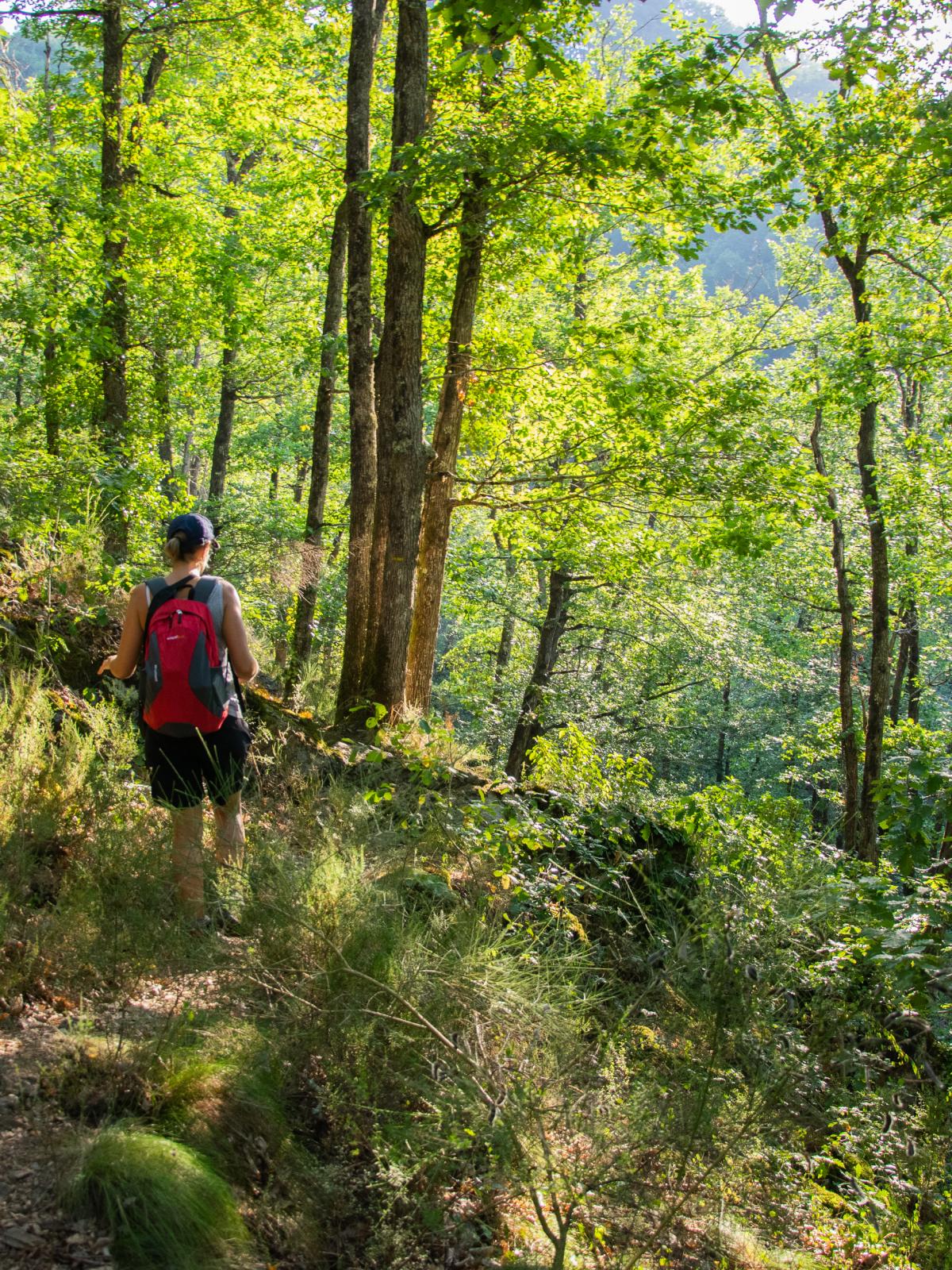 Toutes les balades à pied