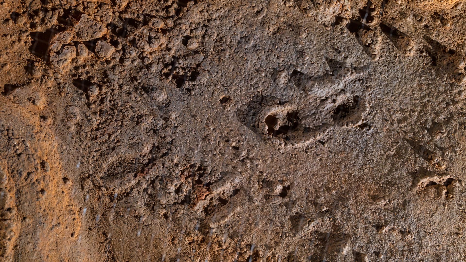 Grotte du Pech Merle à Cabrerets | Tourisme Lot