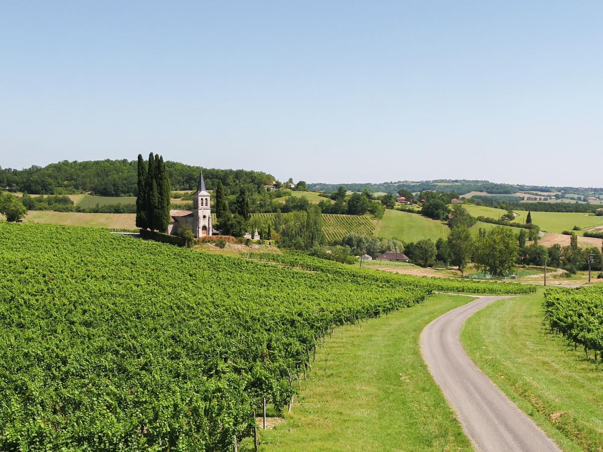 Le vignoble des coteaux du Quercy | Tourisme Lot