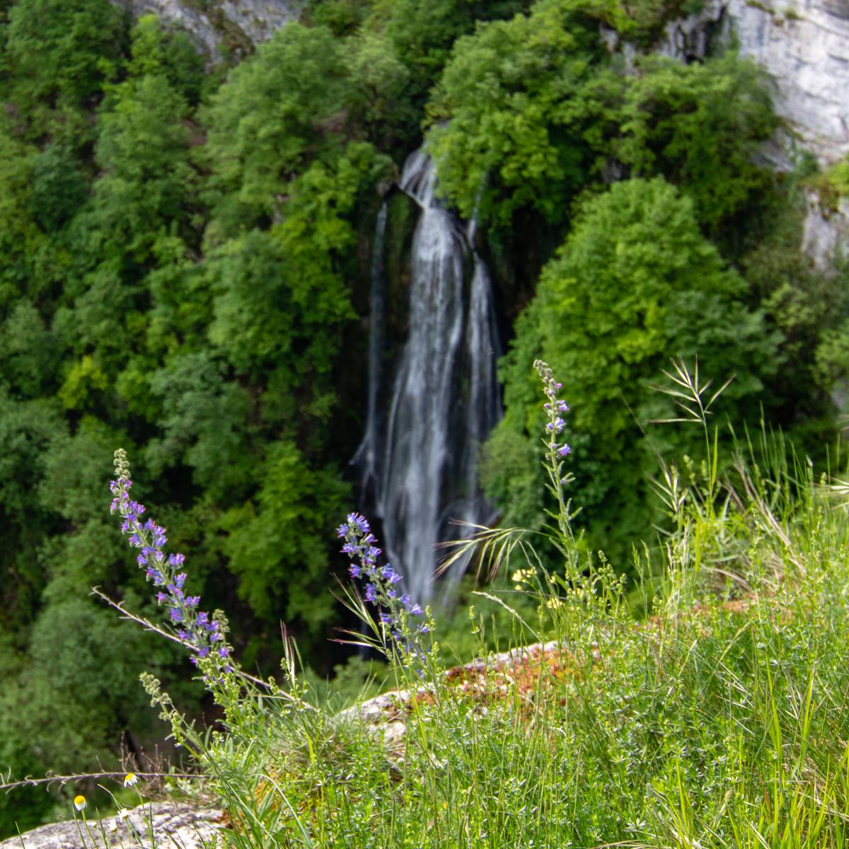 5 raisons de venir dans le Lot au printemps | Tourisme Lot