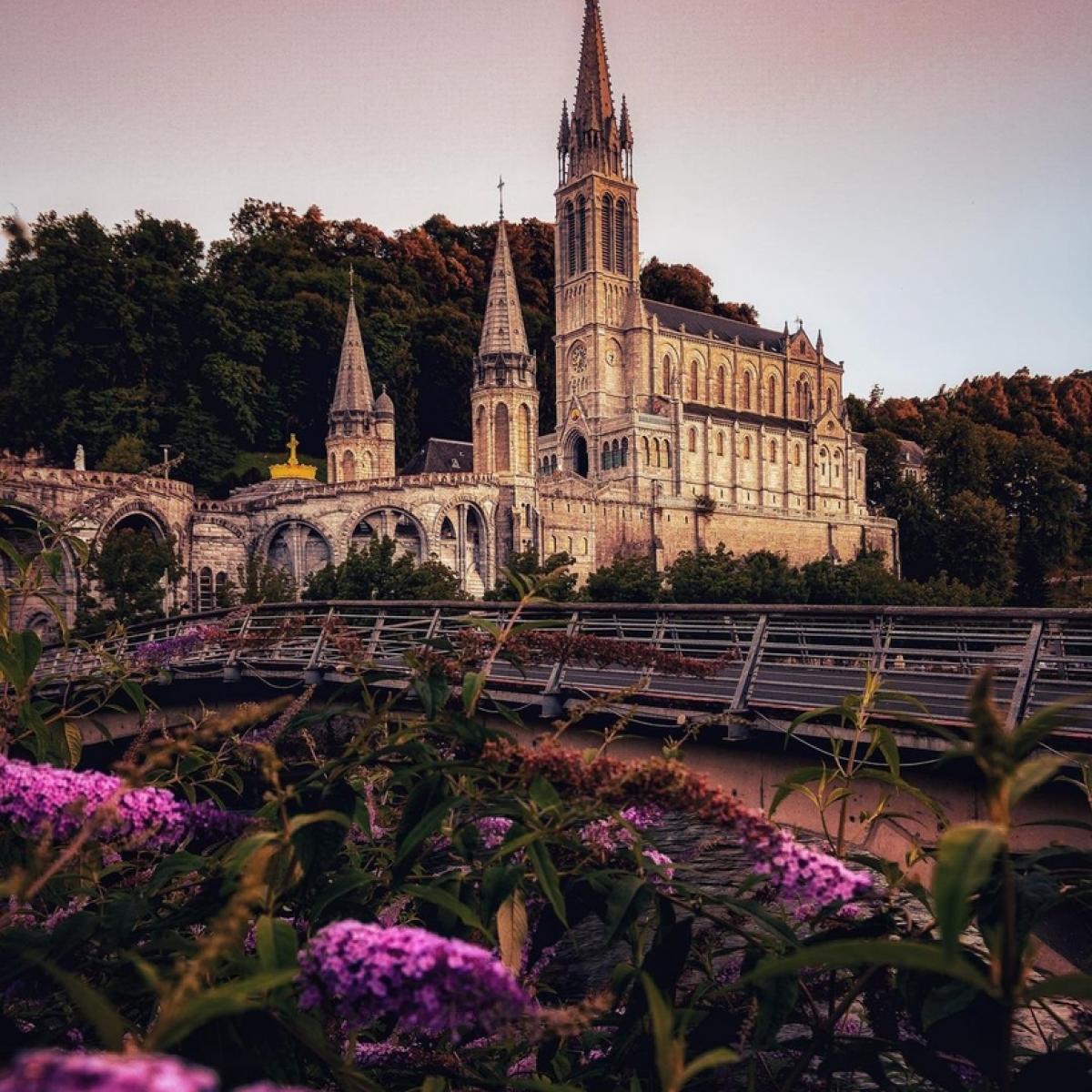 The Sanctuary live | Lourdes Tourist Office