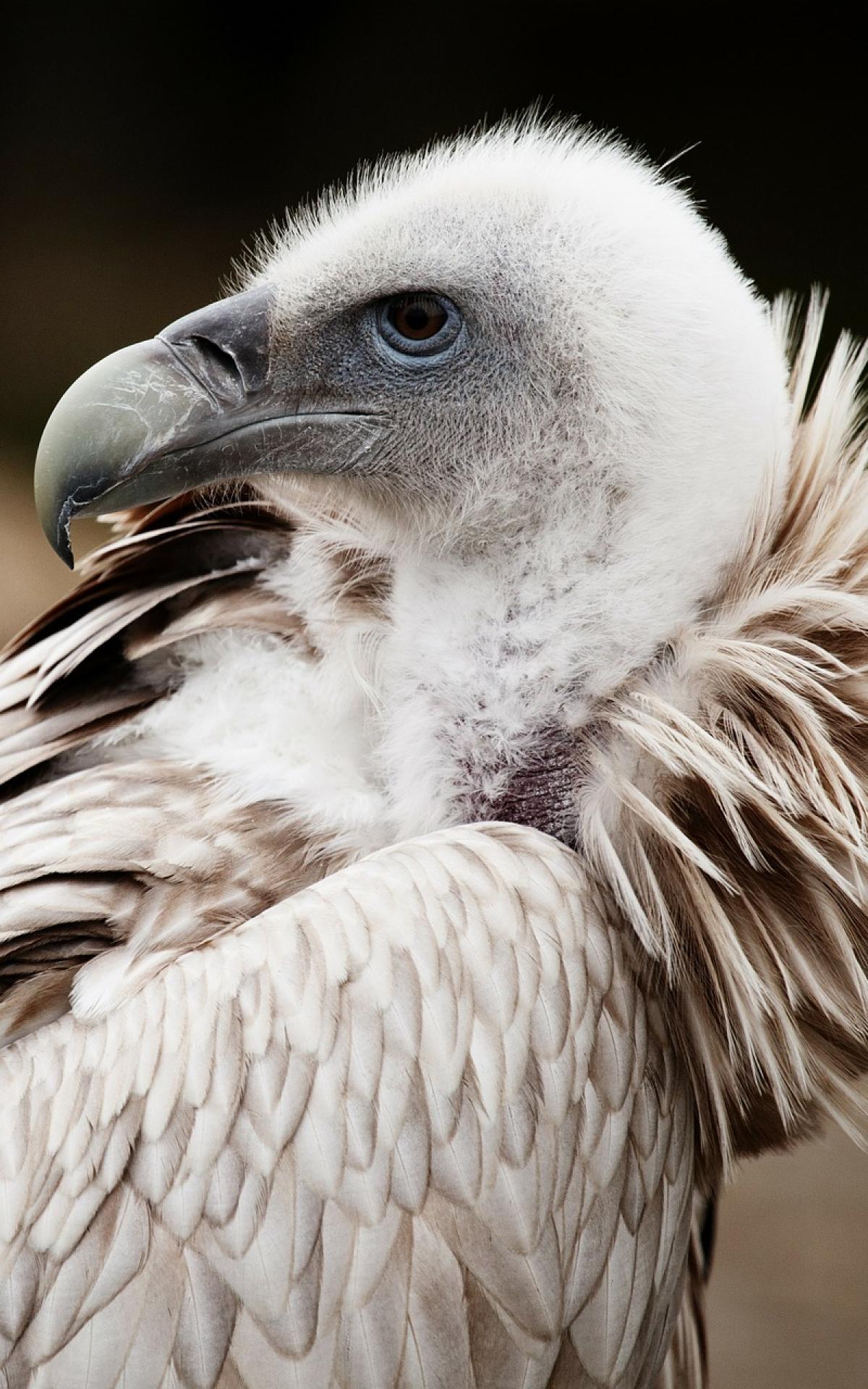 The Pyrenees National Park | Lourdes Tourist Office