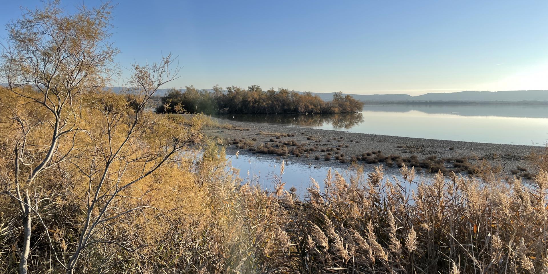 Le parc des 4 vents | Office de Tourisme de Marignane