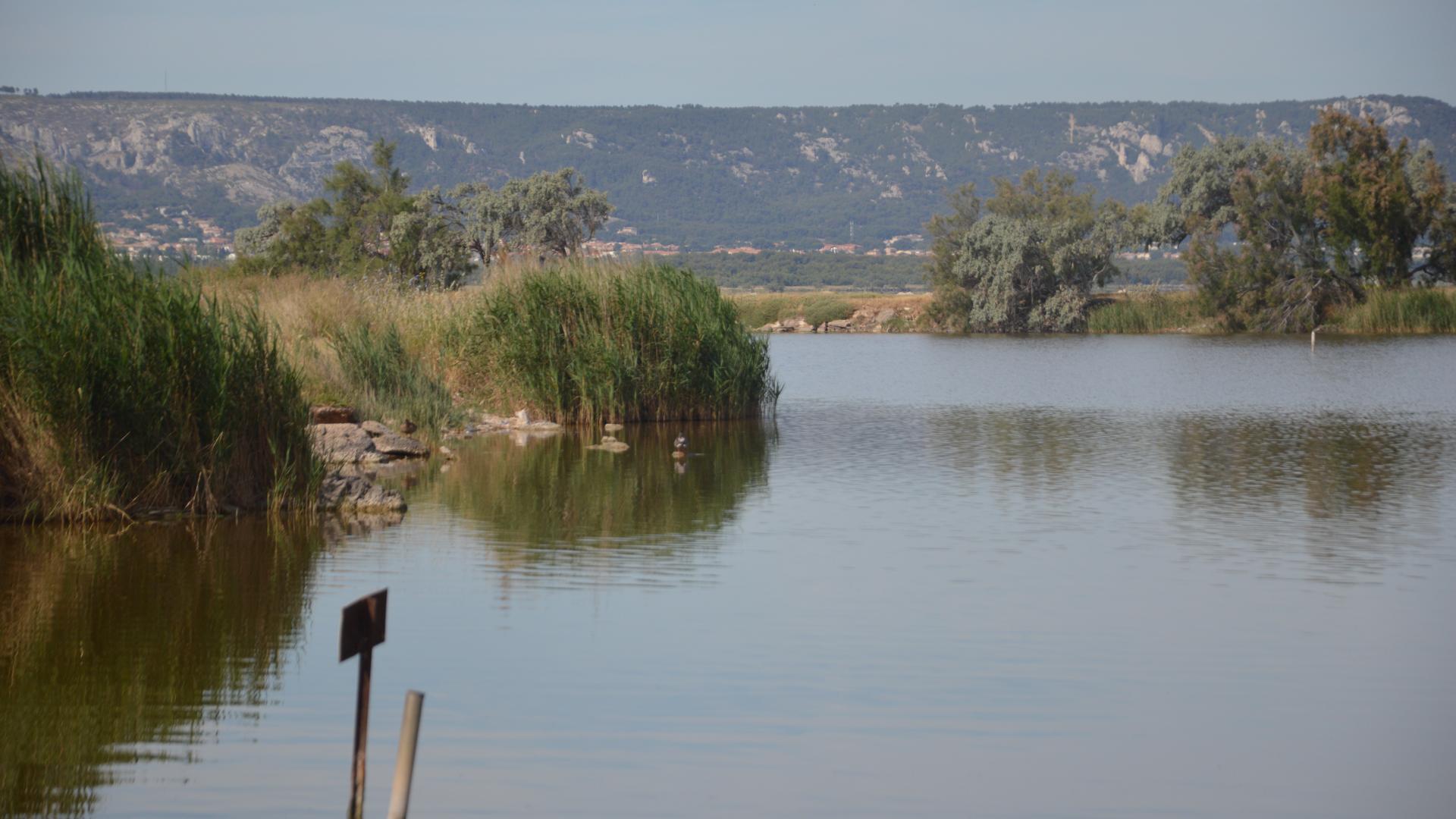 Une ville aux portes de la nature | Office de Tourisme de Marignane