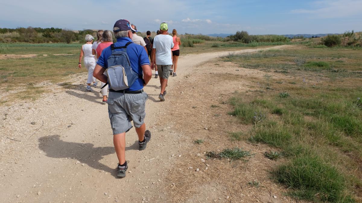 Plan de la ville | Office de Tourisme de Marignane