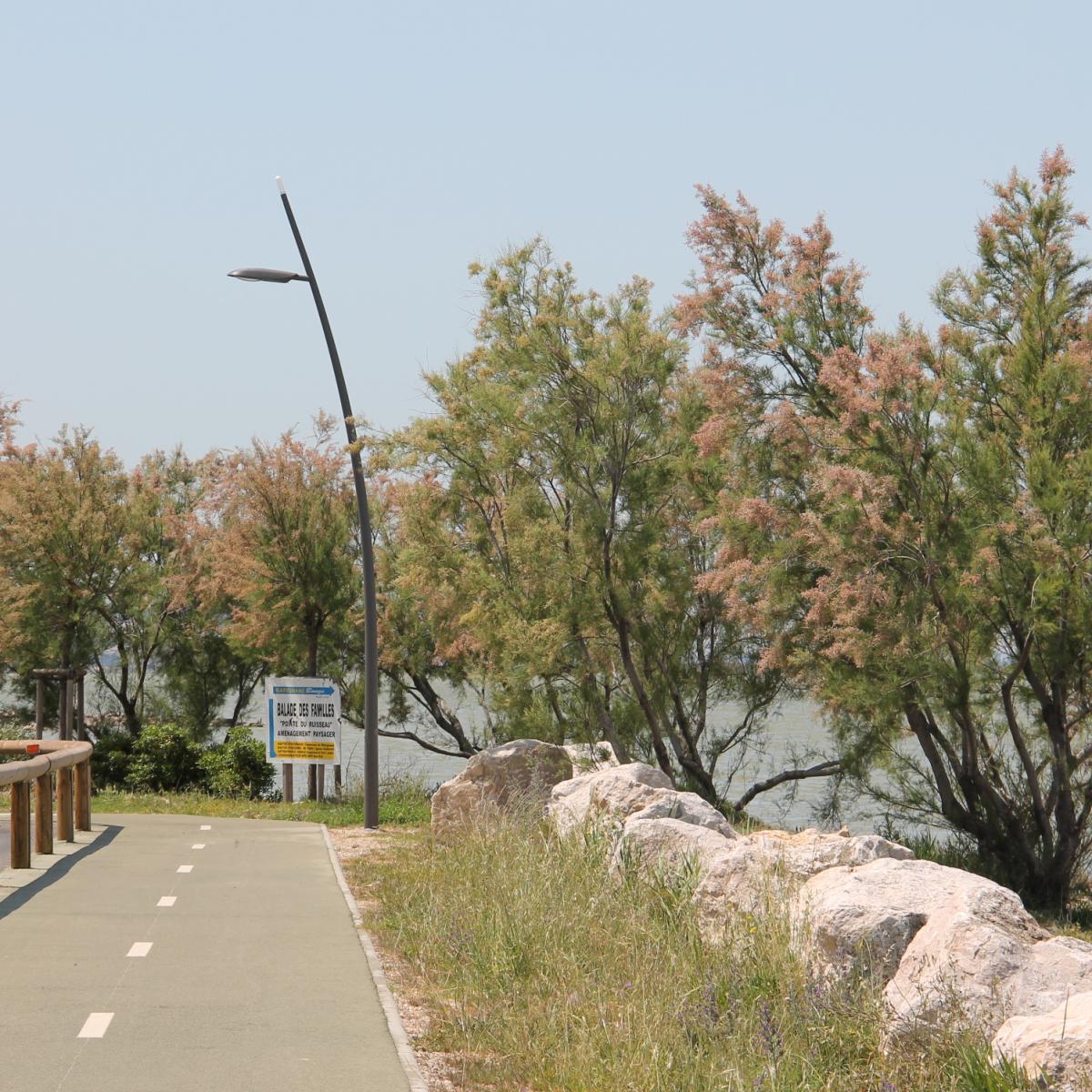 Balade des familles | Office de Tourisme de Marignane