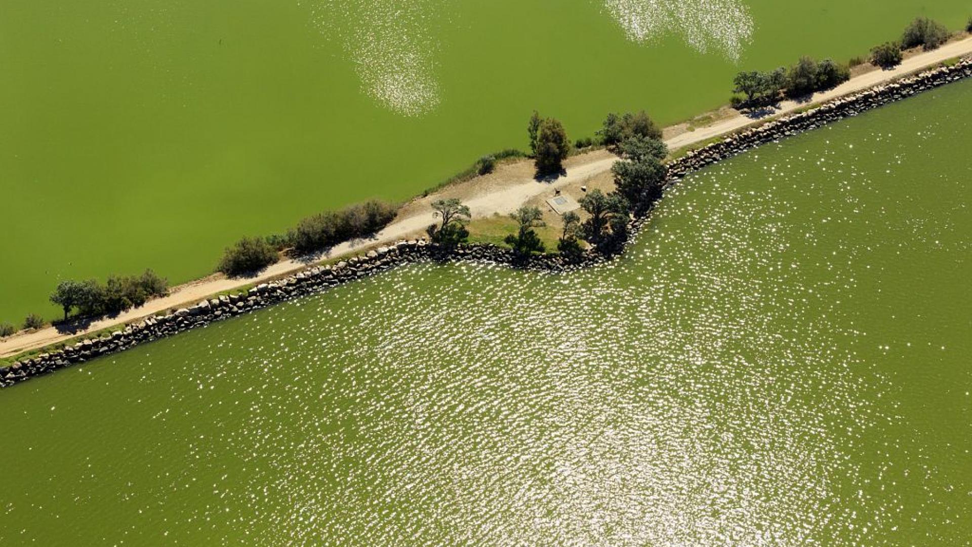 La plage du Jaï | Office de Tourisme de Marignane