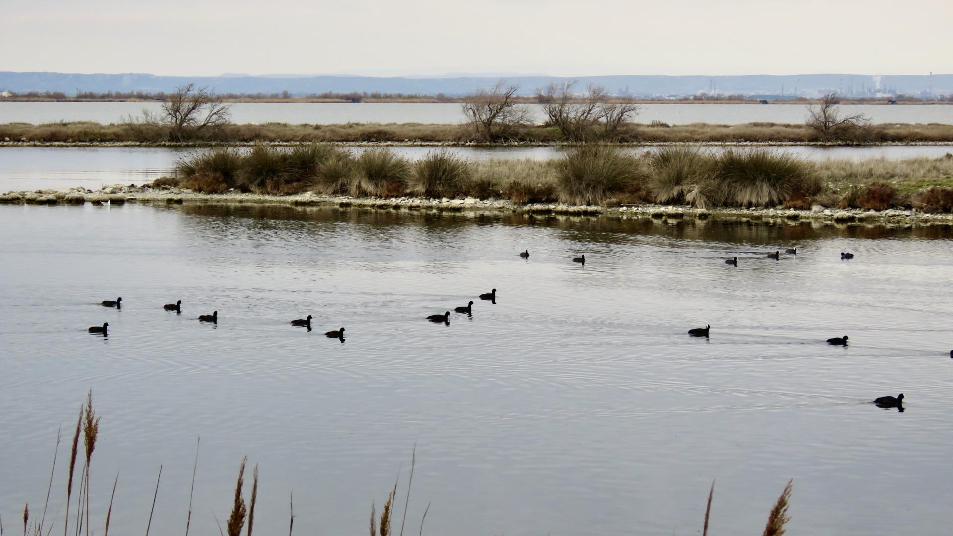 Office de Tourisme de Marignane (Marignane) | Office de Tourisme de ...
