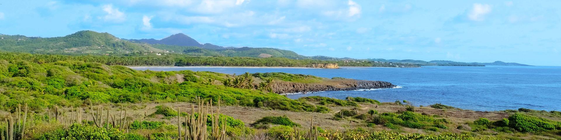 Beaches, Forests, Rivers and Nature Reserves of Martinique | Martinique ...