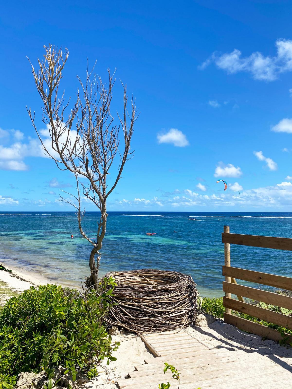 Les Spots Photos de la Martinique | Martinique Tour