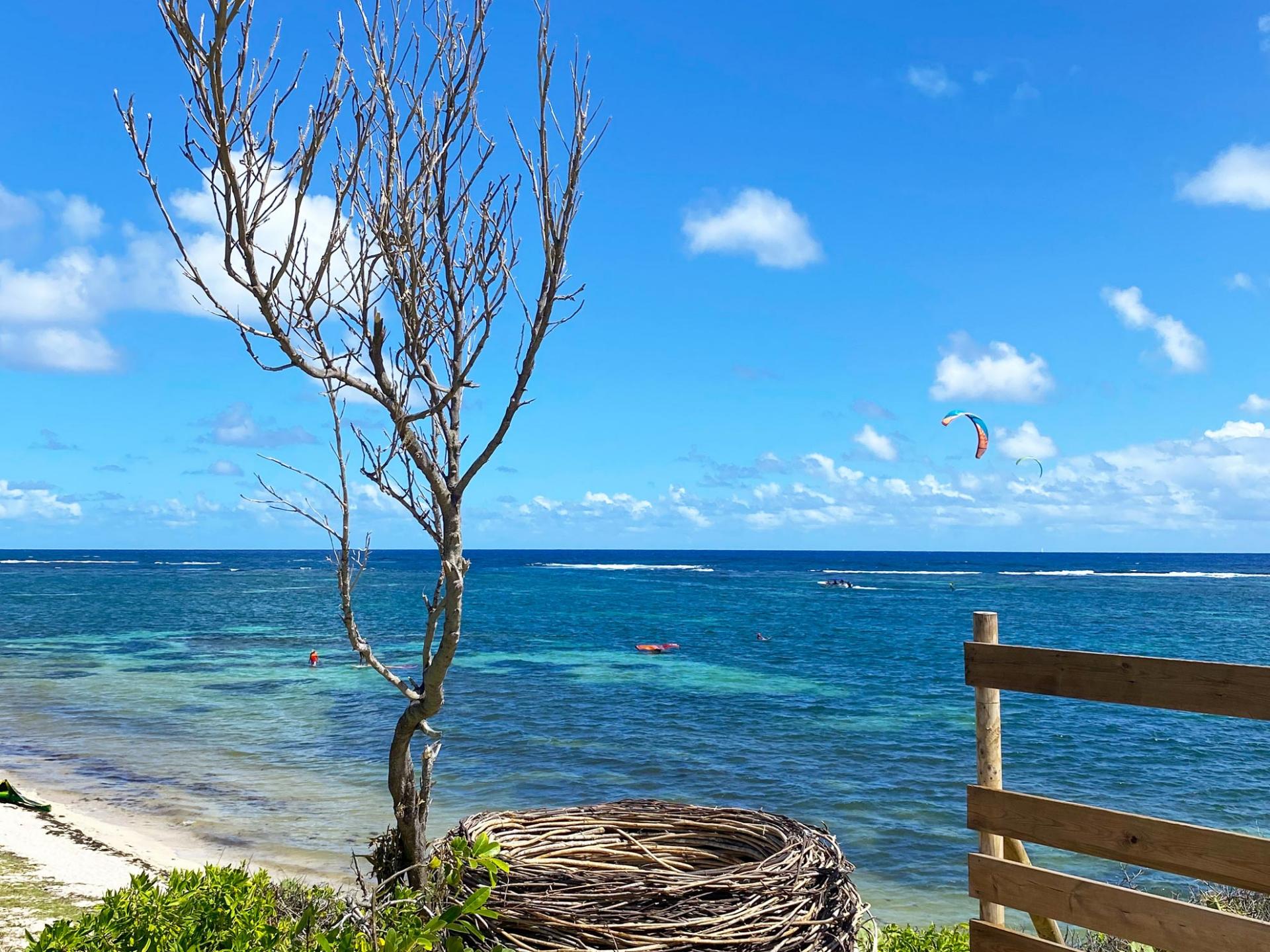 Paysages de Martinique | Les plus beaux lieux naturels 2025 Martinique Tour