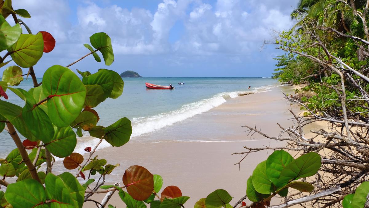 Plage du Lido Anse Collat (Schœlcher)