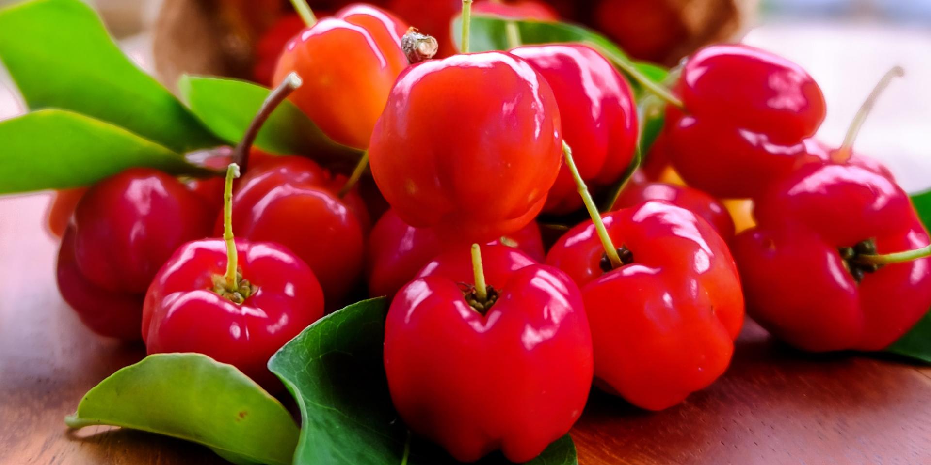 Les Fruits de Martinique | Martinique Tour