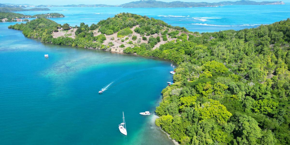 L’îlet Chancel | Iguane | Martinique