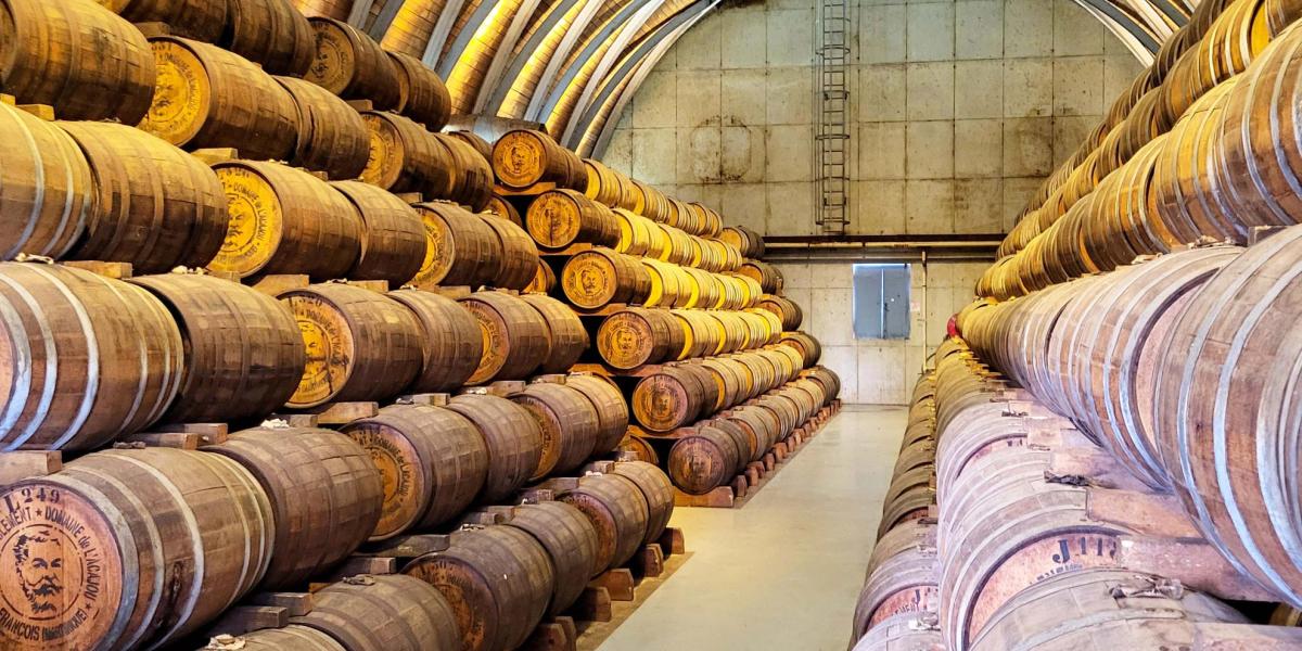 Rhum Martinique – La Route du rhum – Terre de rhum