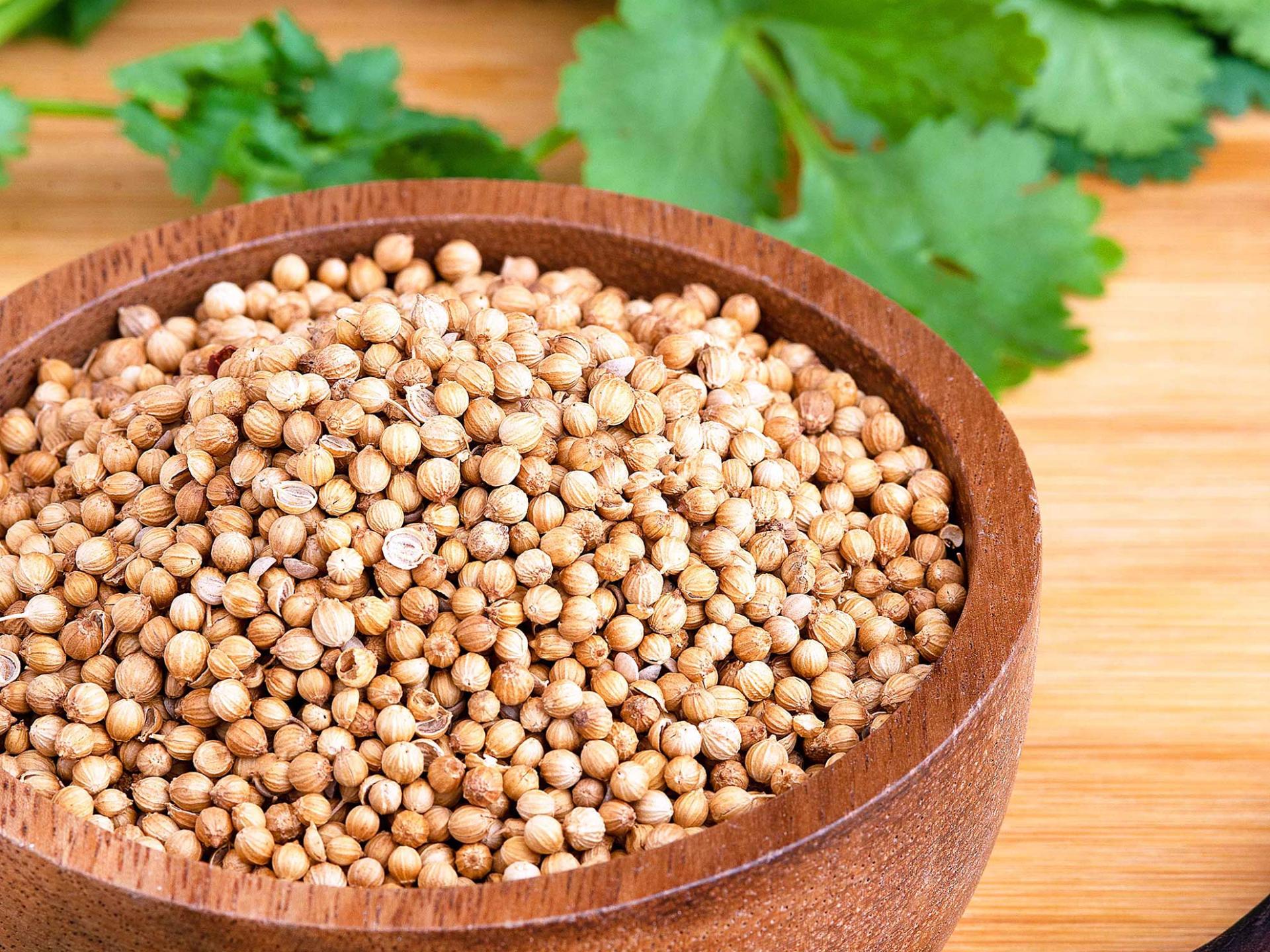 Coriandre | Martinique Tour