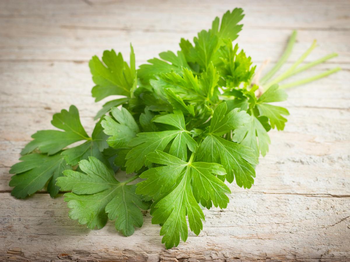 Persil | Martinique Tour