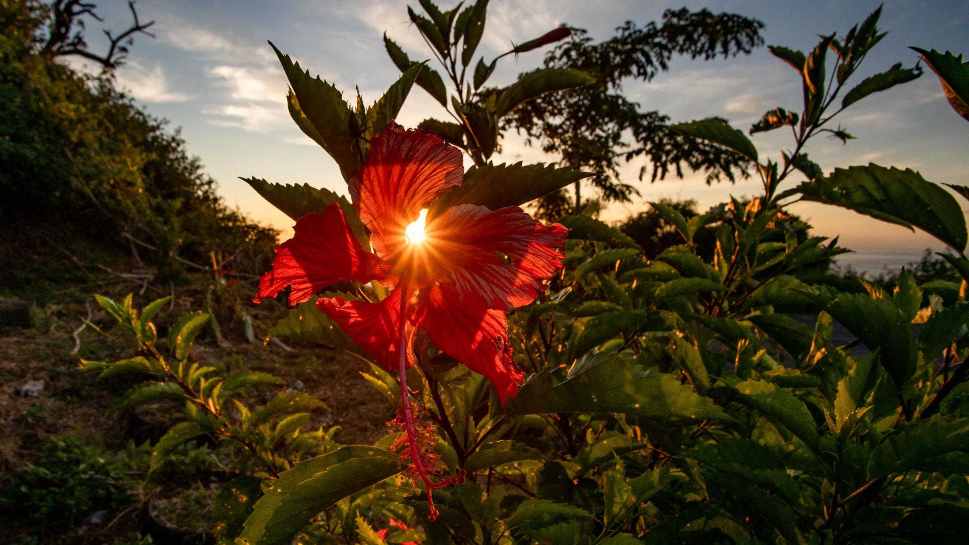 Naturellement sauvage | Mayotte tourisme