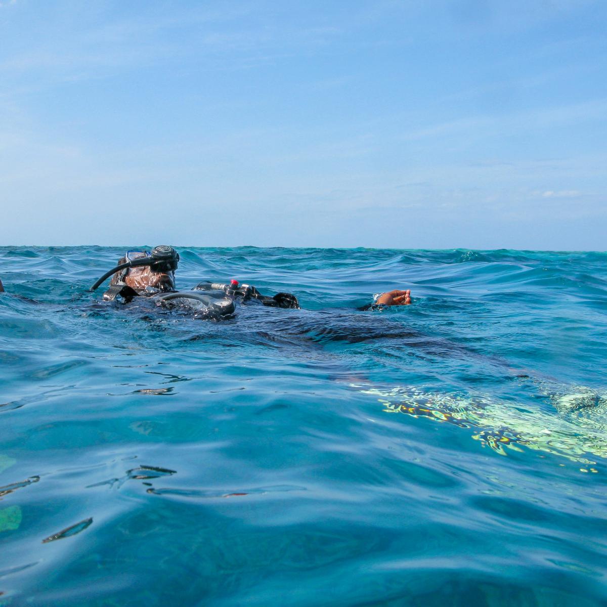 10 plus beaux spots de plongée à Mayotte | Mayotte tourisme