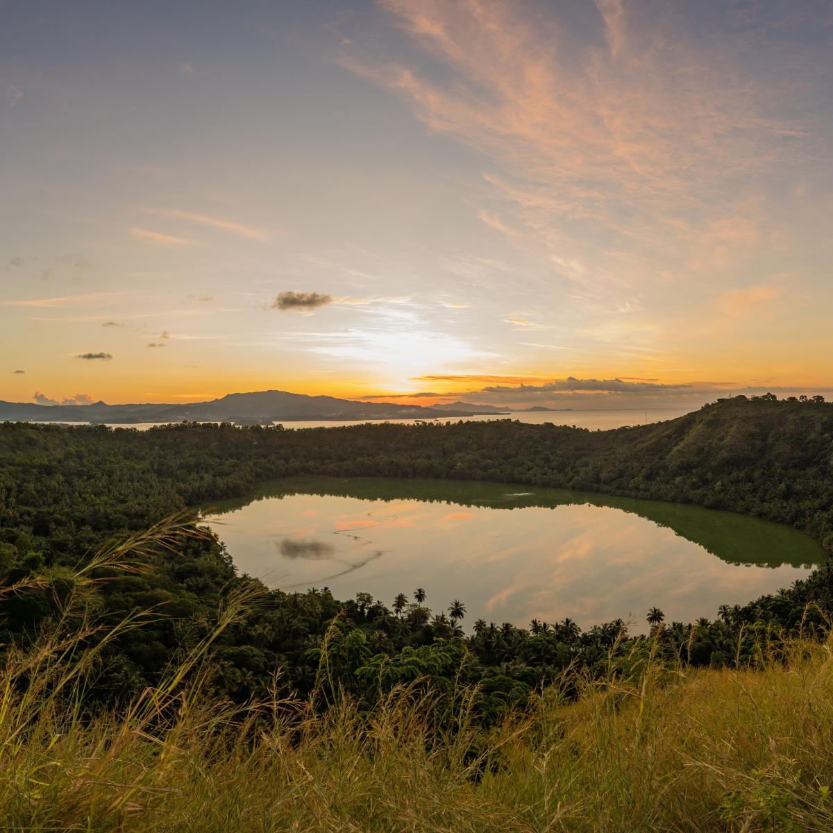 Le jasmin | Mayotte tourisme