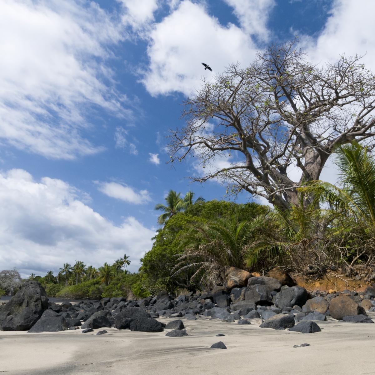 12 meilleures plages de Mayotte | Mayotte tourisme