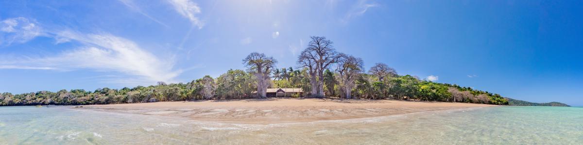 Observer les Makis | Mayotte tourisme