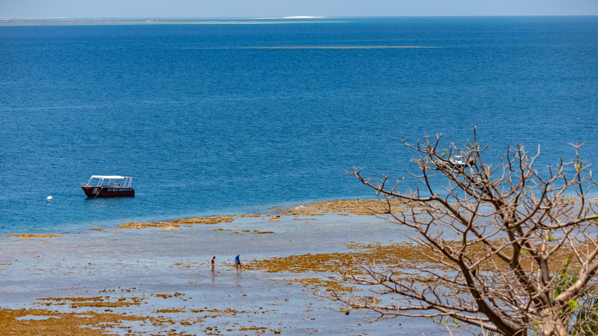 Le lagon, un terrain de jeu unique | Mayotte tourisme