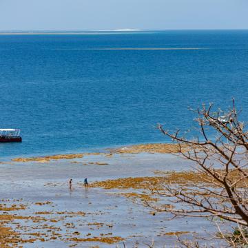 Le lagon, un terrain de jeu unique | Mayotte tourisme